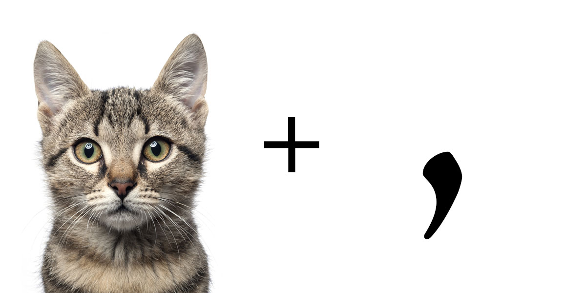 A Cat and a Comma - Johns Creek Baptist Church